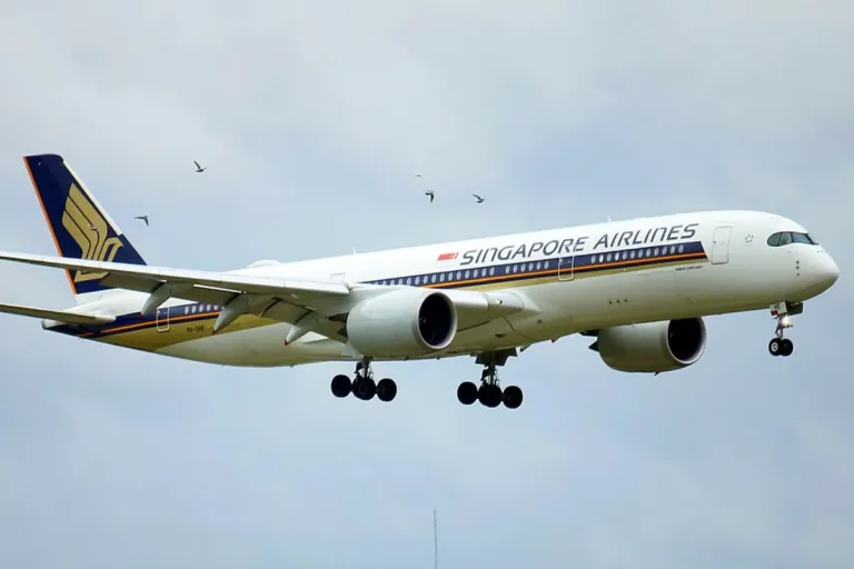 Singapore Airlines Removes Unruly Passengers For Abusing Cabin Crew